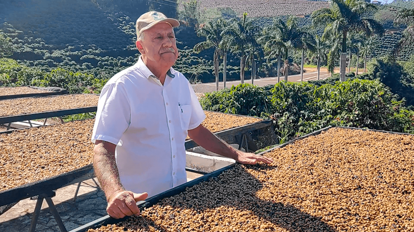 Café mineiro vendido para rede de cafeterias chinesa é fruto de ...